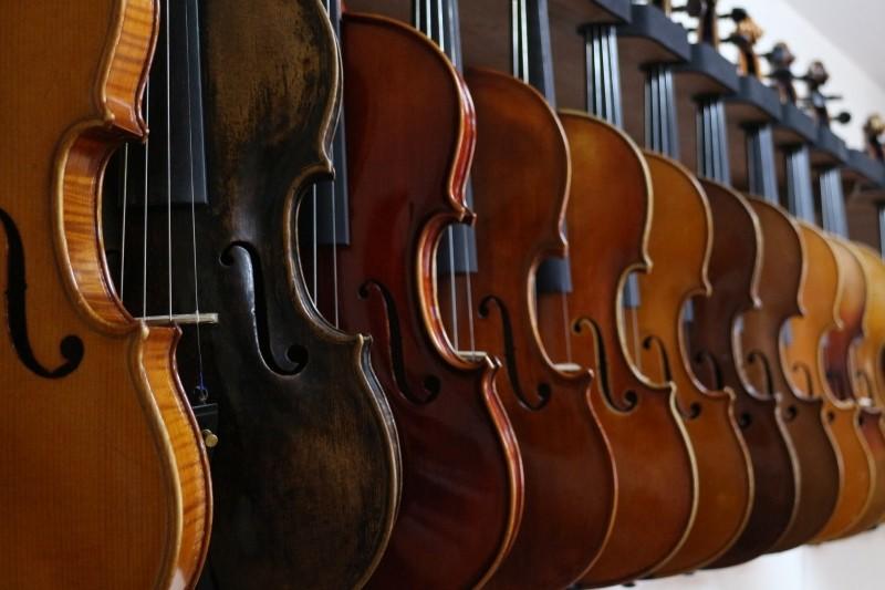 Violin Facts: Everything You Need to Know About the Violin